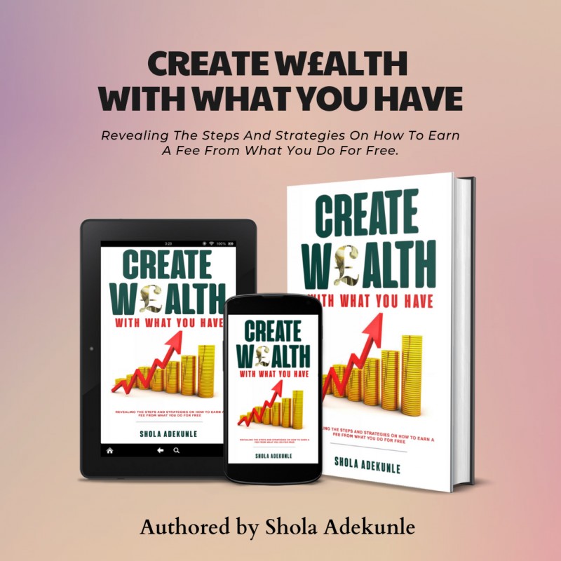 Buy CREATE WEALTH WITH WHAT YOU HAVE. (Revealing the steps and ...