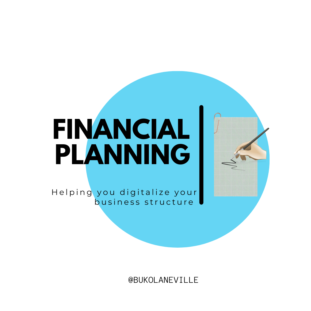 Buy BNC-Financial Cash Flow Plan by Bukola Neville on Selar