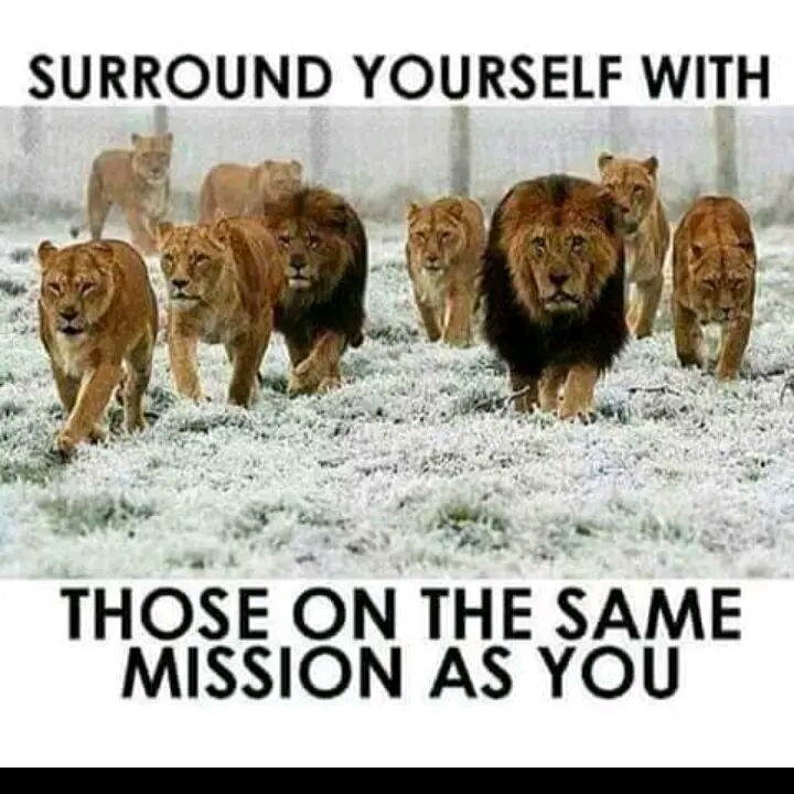 Buy THIS BOOK IS A GUIDANCE FOR YOUR EXPLOIT AND BREAKTHROUGH IN EVERY ...