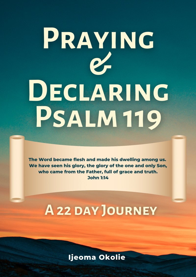 Buy Praying Declaring Psalm 119 By Ijeoma Okolie On Selar buy-praying-declaring-psalm-119-by-ijeoma-okolie-on-selar