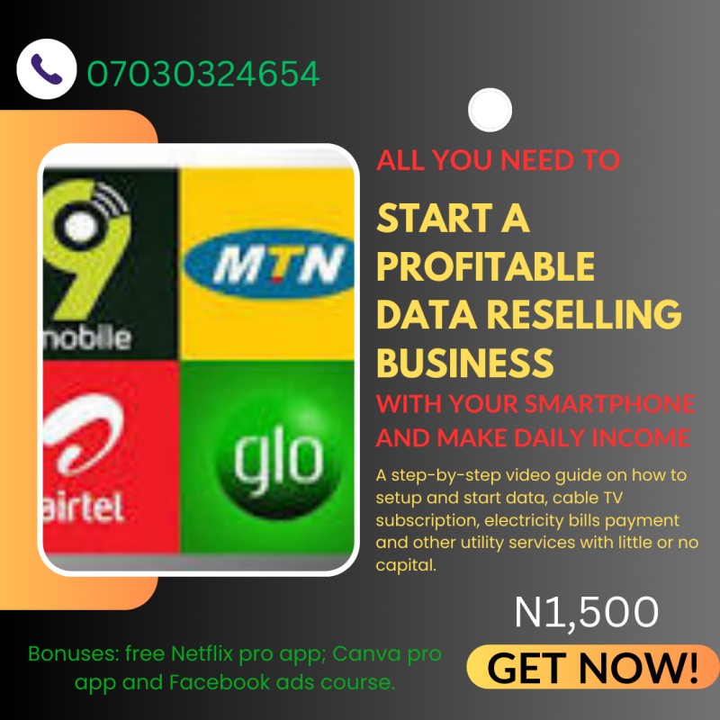 Buy Cheap Data Reselling Course/Site by Impressionz Digitals on Selar