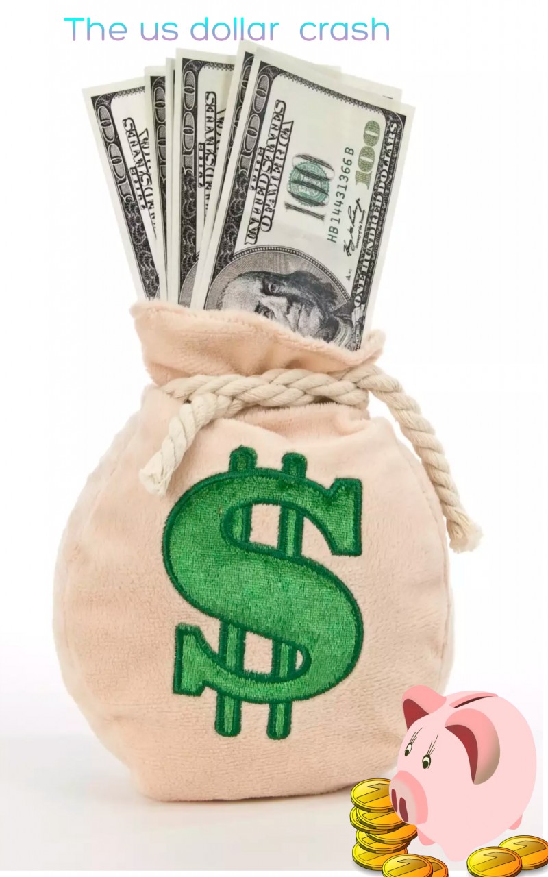 Buy The US dollar crash by Rufus Godslove on Selar