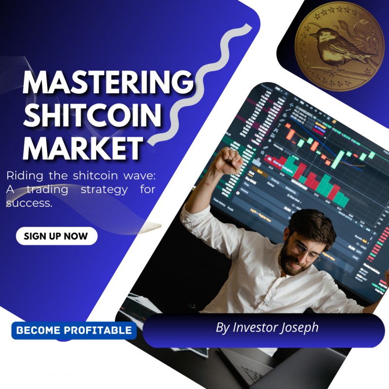 Buy MASTERING SHITCOIN MARKET: A TRADING STRATEGY FOR SUCCESS by Joseph ...