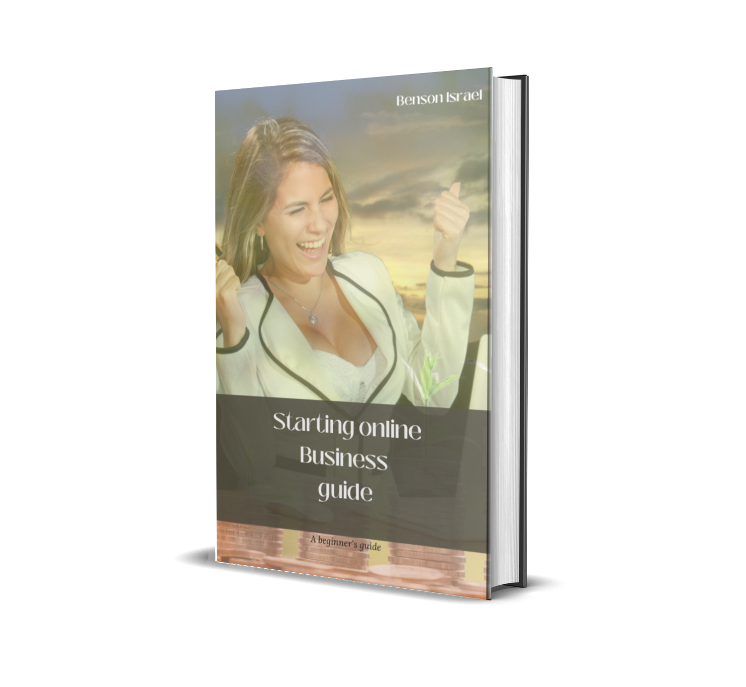 Buy Starting online Business guide by Benson Israel eniola on Selar