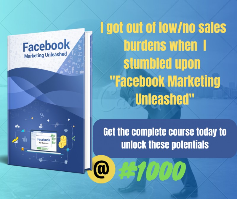 Buy Facebook marketing unleashed by MS Digitalz on Selar
