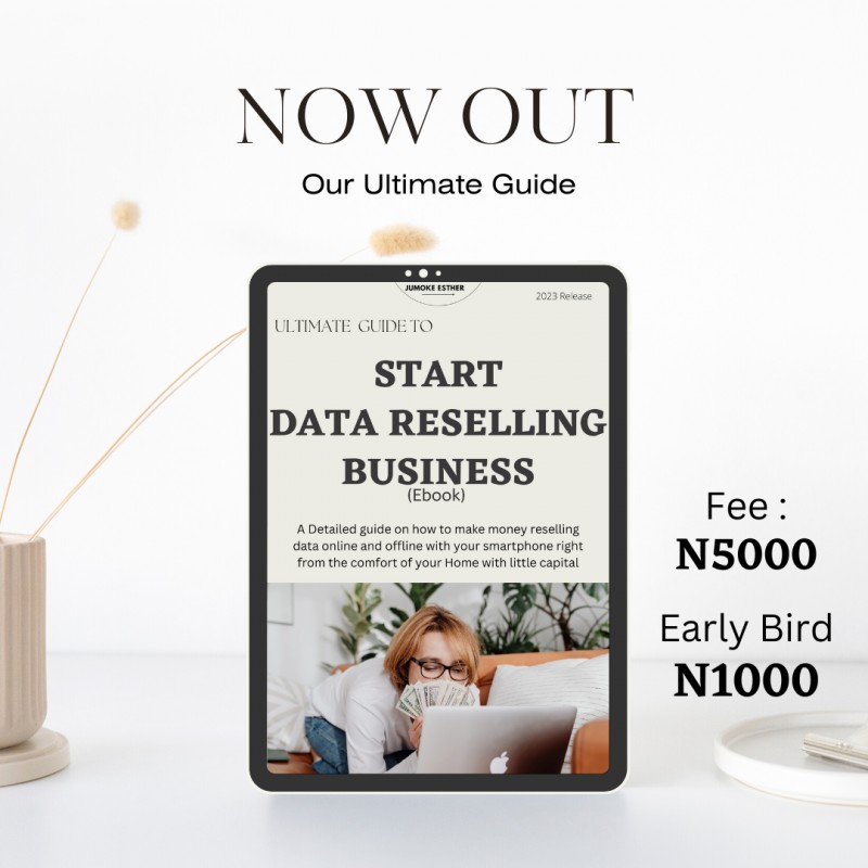 Buy Ultimate Guide to Start Data Reselling Business by Adeoye Jumoke on ...