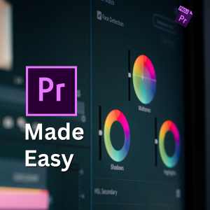 Buy The Ultimate Premiere Pro Basic Course by Jude Bela on Selar