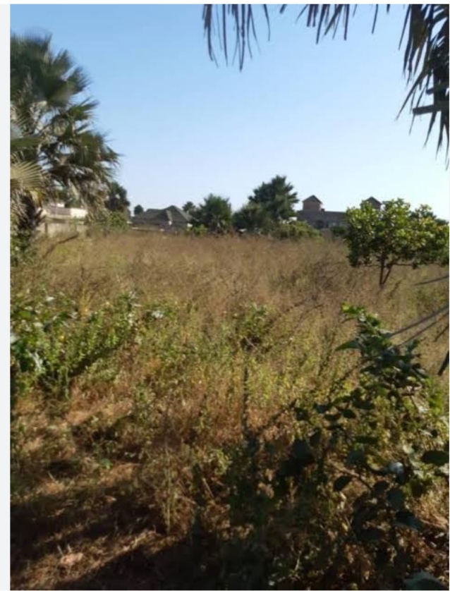 Buy Land by Wole-ola Olabisi Letitia on Selar