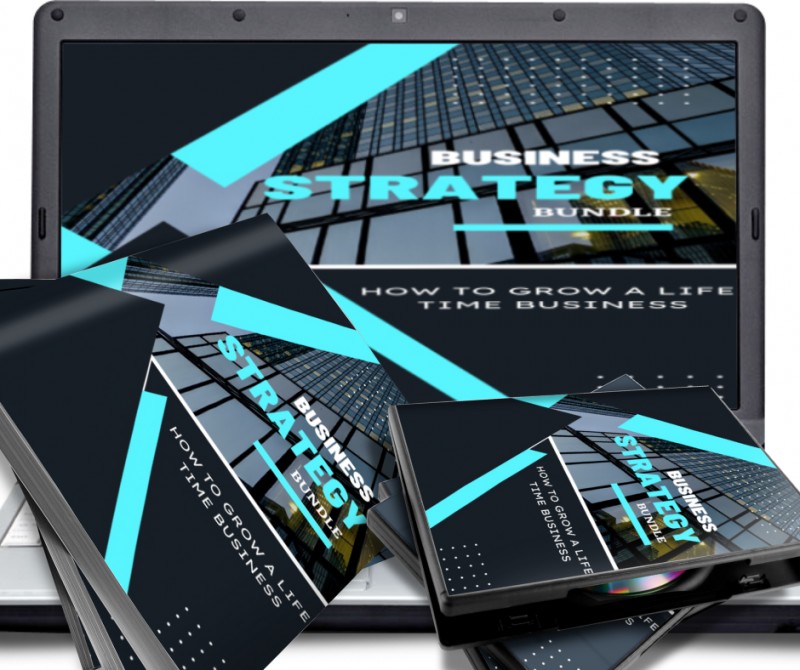 Buy HOW TO GROW A LIFETIME BUSINESS (PASSIVE INCOME BUSINESS STRATEGY ...