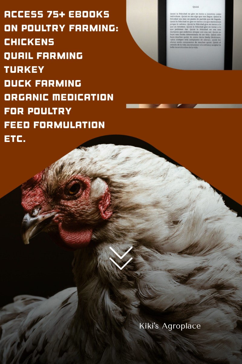 Buy 75+ eBooks on poultry farming by Kiki's Agroplace on Selar