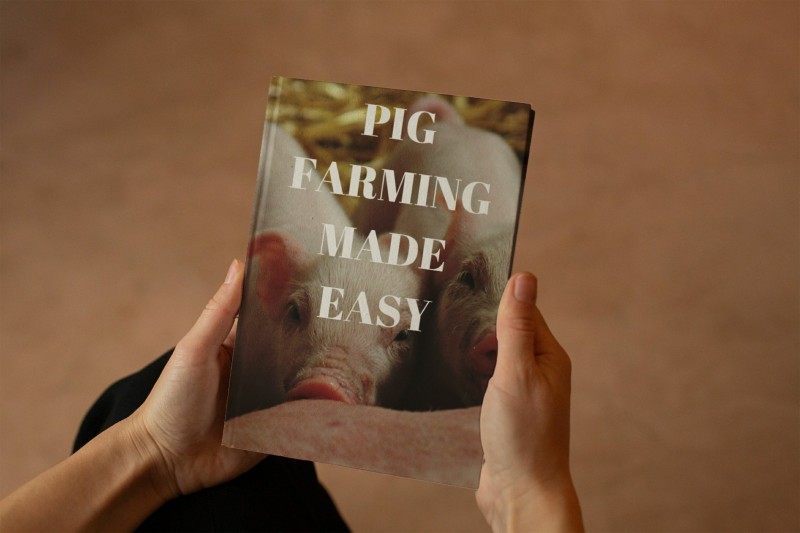 Buy Kiki's pig rearing guide by Kiki's Agroplace on Selar