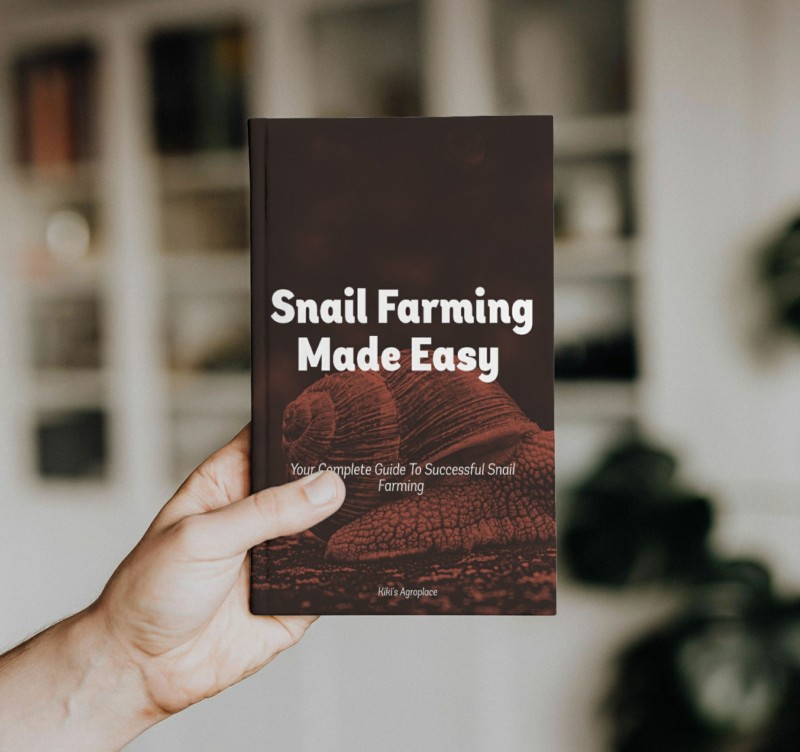 Buy Snail Farming Made Easy by Kiki's Agroplace on Selar