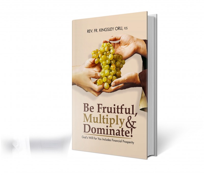 Get BE FRUITFUL by Oru Kingsley Uchechukwu on Selar