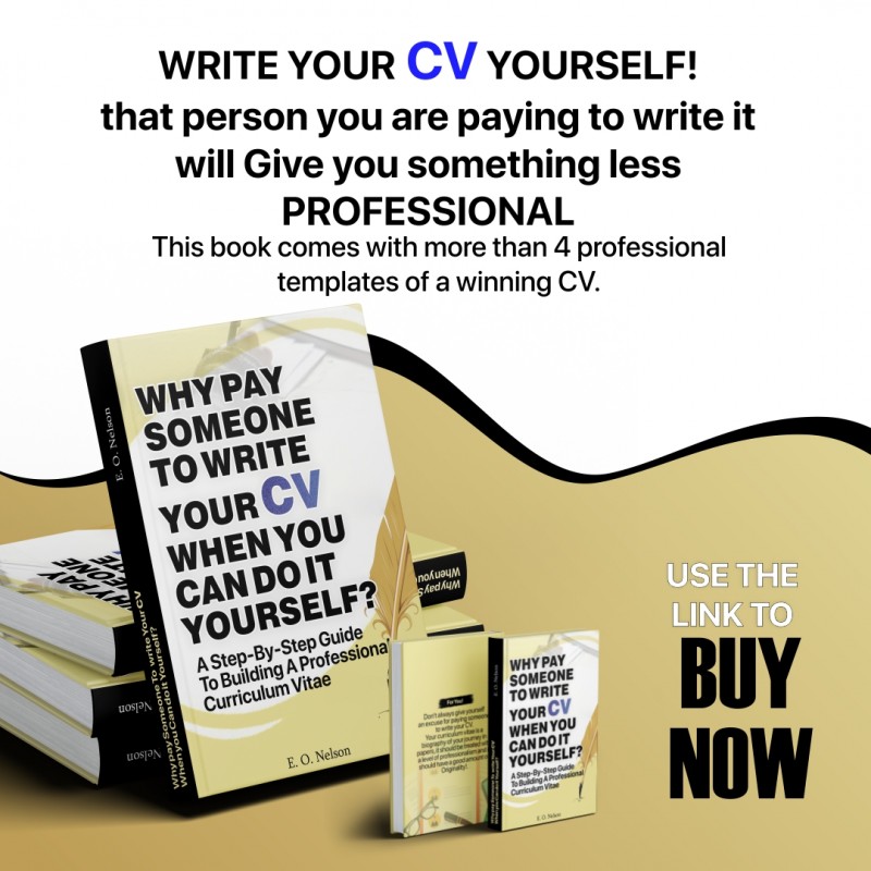 Buy WHY PAY SOMEONE TO WRITE YOUR CV WHEN YOU CAN DO IT YOURSELF? A ...