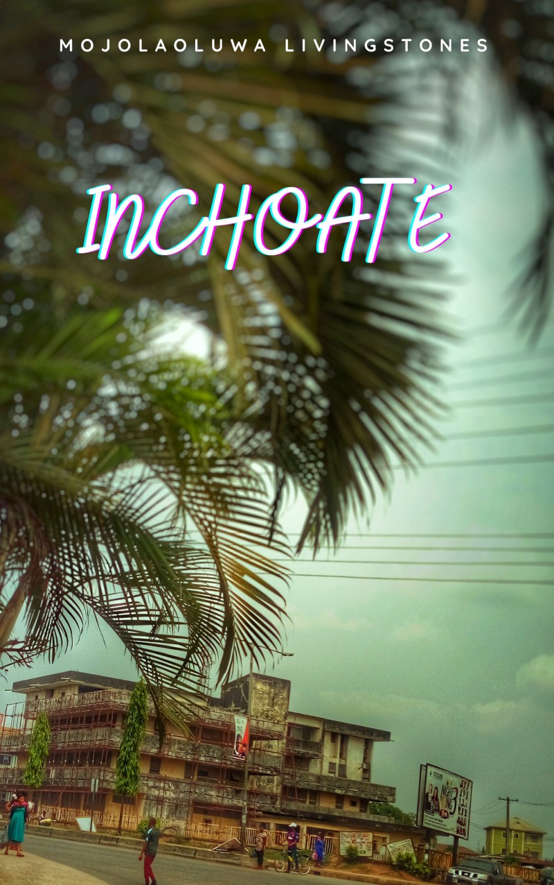 Buy Inchoate (A collection of short stories) by Houseoflivingstones on ...