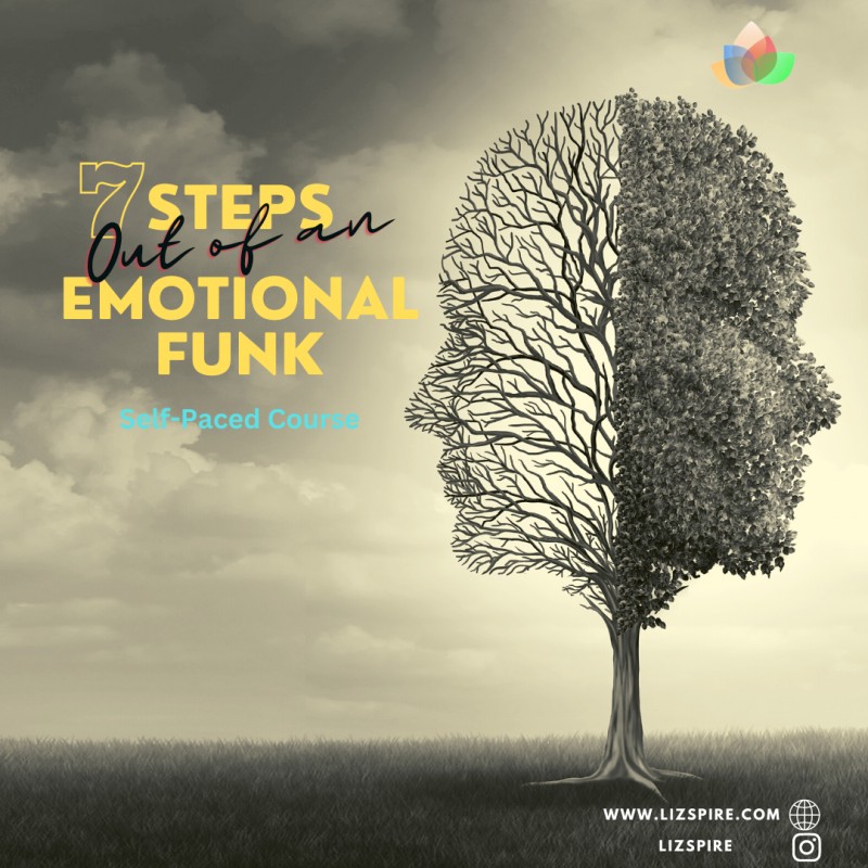 Buy 7 Steps Out of an Emotional Funk [COURSE] by Elizabeth Taylor on Selar
