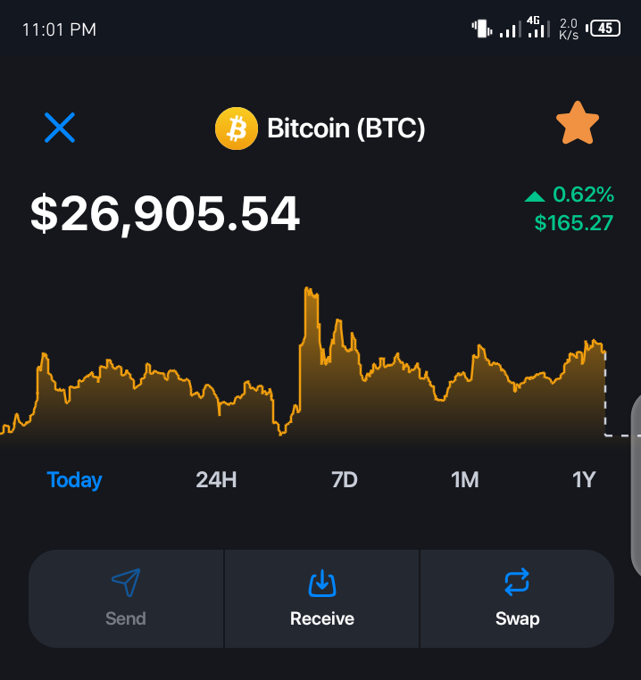 Buy How To Start Bitcoin And Understand The Market by Asefo lucky on Selar