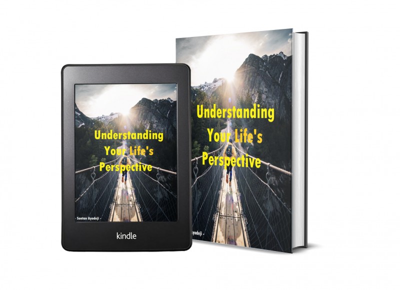 Buy UNDERSTANDING YOUR LIFE'S PERSPECTIVE by KIT COMICS on Selar