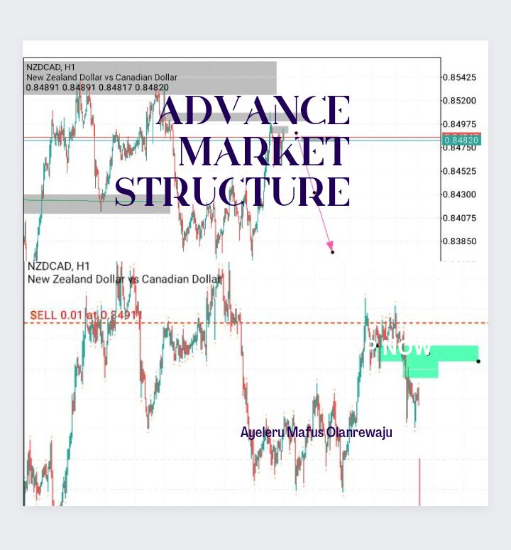 Buy Forex Advance Market Structure by Ayeleru Mafus Olanrewaju on Selar