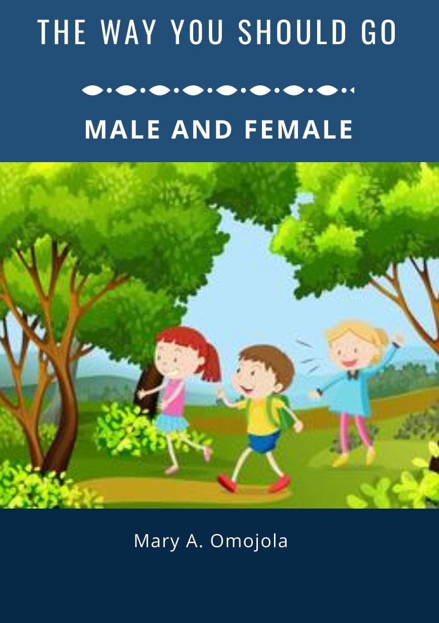 Get The Way You Should Go (series) by Mary A. Omojola on Selar