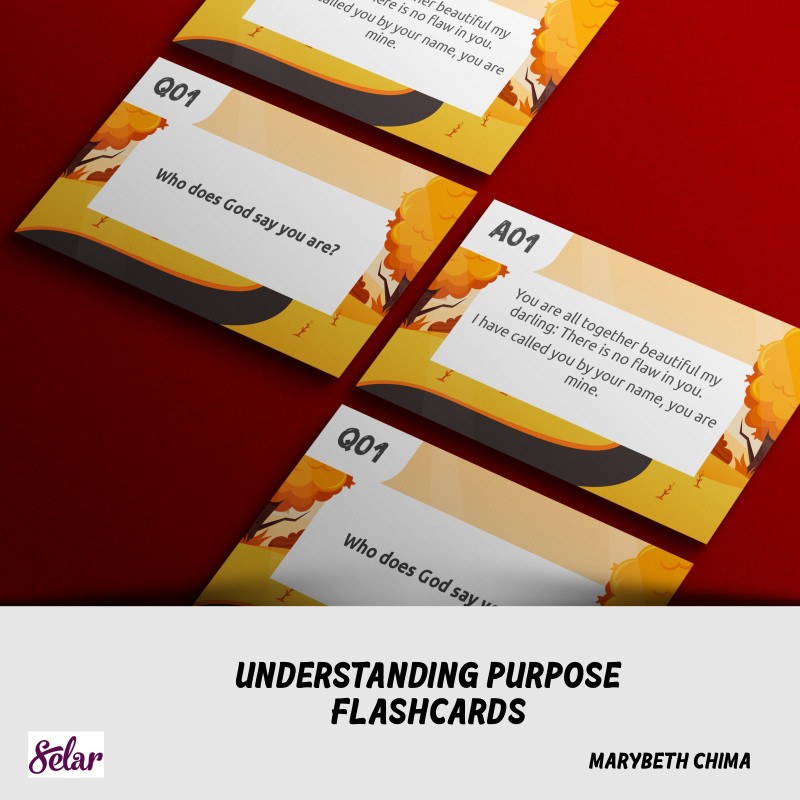 Buy Understanding Purpose Flashcard by Marybeth Chima on Selar