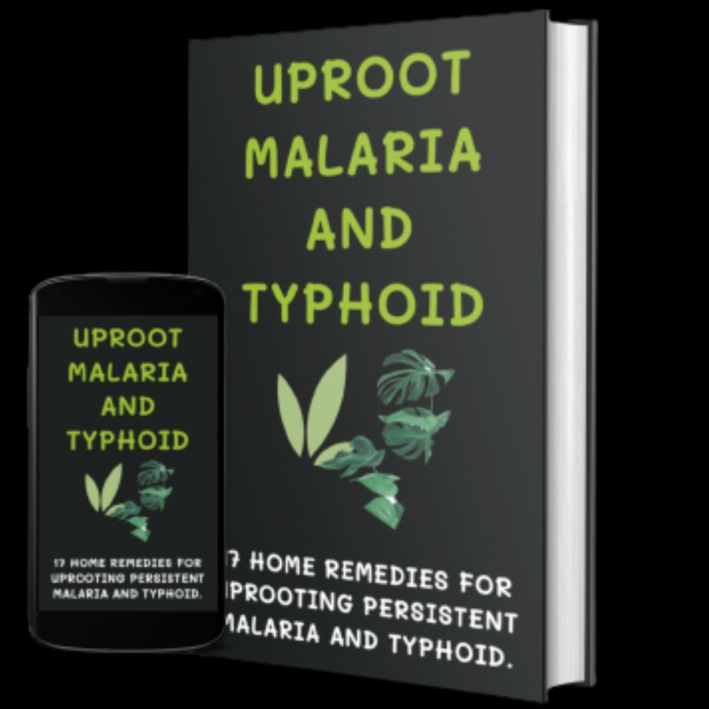 Buy Uproot Malaria And Typhoid With Home Remedies by Medicinal Food on Selar
