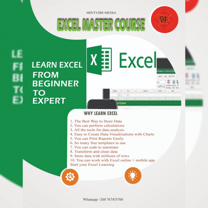 Buy Excel Master Course by MINTVIBE MEDIA on Selar