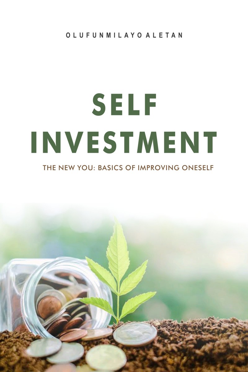Buy Self Investment by Olufunmilayo Aletan on Selar