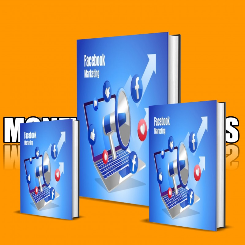 Buy Facebook Marketing: Leveraging Facebook's Features for Your ...