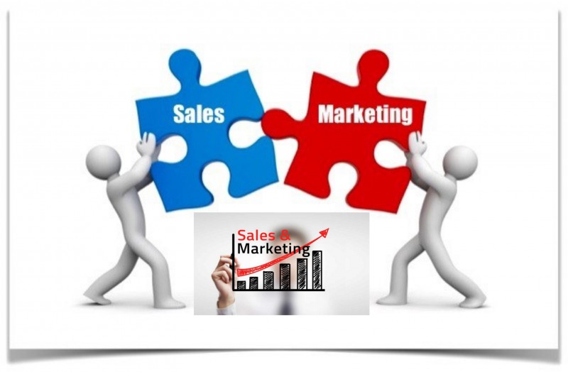 Buy Mastering Sales and Marketing: Strategies and Techniques for ...