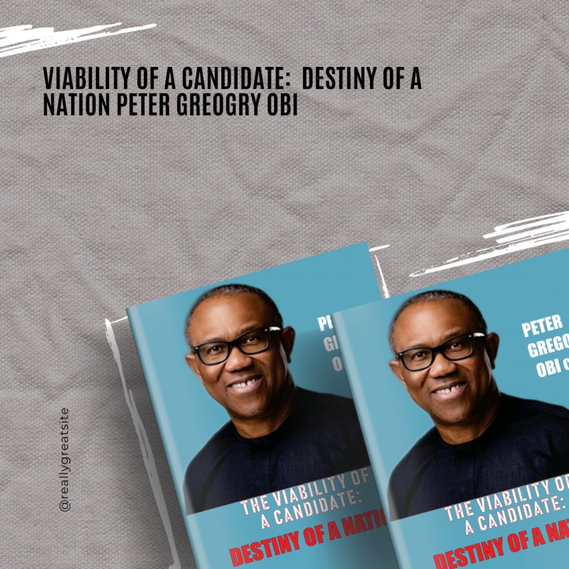 Buy Viability of A Candidate: Destiny of A Nation Peter Gregory by Moses Jejeniwa on Selar
