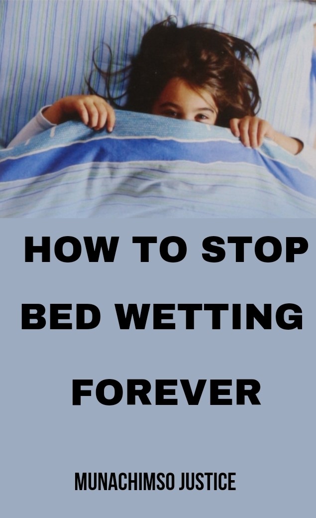 Buy How To Stop Bed Wetting Forever by Justice Munachimso on Selar