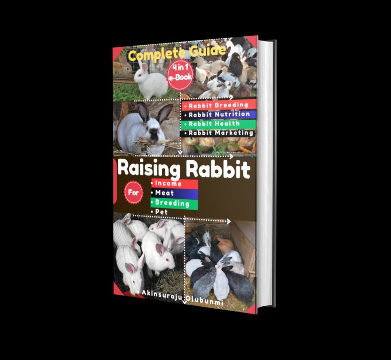 Buy 4in1 Rabbit Farming Business Guide by Rabbit Farming Business on Selar