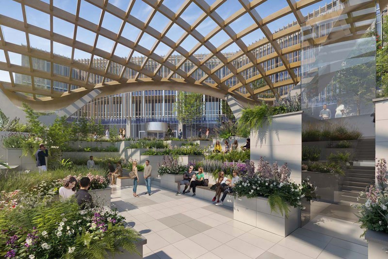 Buy Canopy by Nalitect Studio on Selar