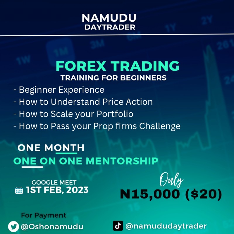 Buy Beginners Forex Trading Training by Namudu Day Trader on Selar