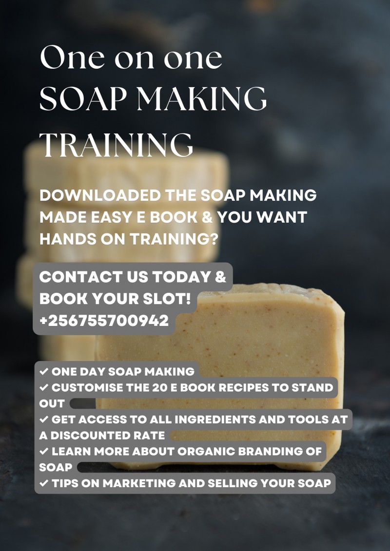 Buy One on One training for Soap Making Made Easy E book by Nargis ...