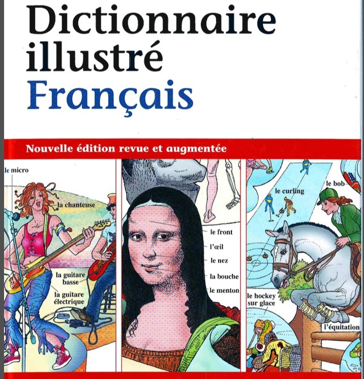 Buy Dictionnaire Illustré De Français by Cute French on Selar