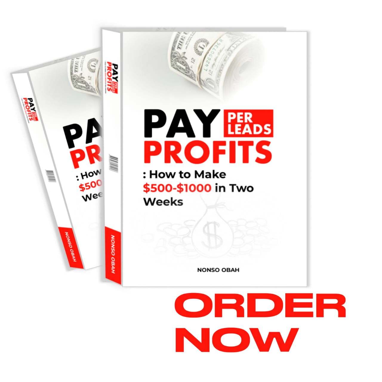 Buy Pay per lead profits: How to earn $500-$1000 dollars within 2 weeks ebook by Nonso Obah on Selar