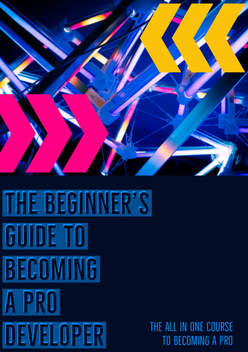 Buy The beginner's guide to becoming a professional Website developer by Nuel tech on Selar