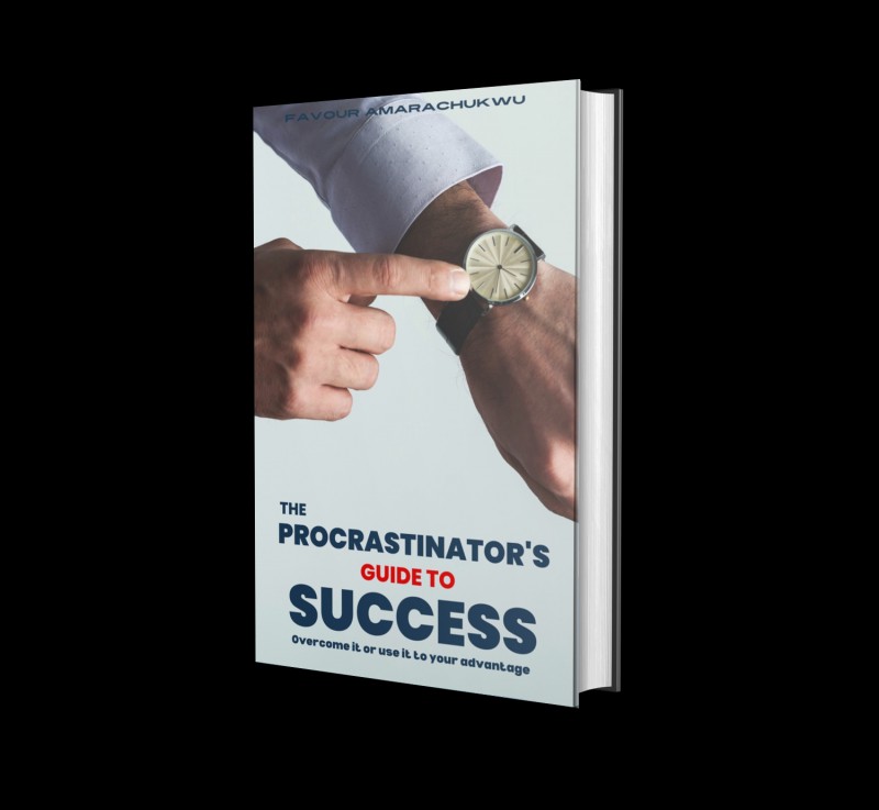 Get The Procrastinator's guide to success. by Favour Amarachukwu on Selar