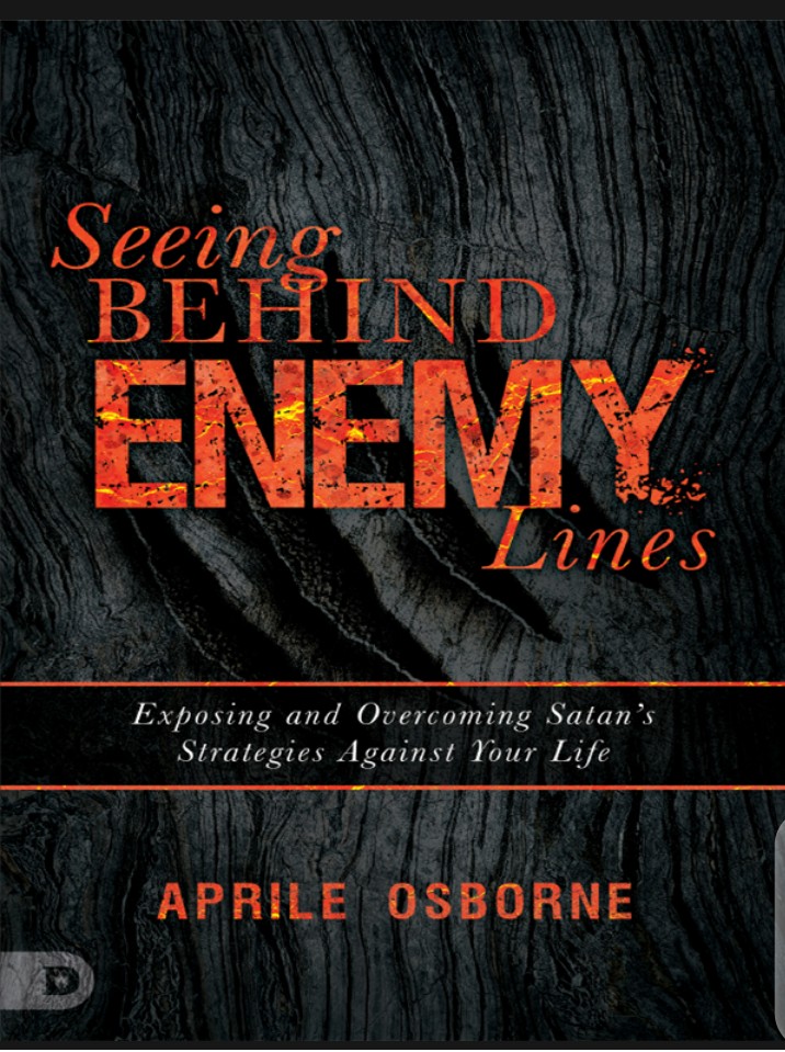 Buy Seeing Behind the Enemy lines by LIBERTY BOOK SHOP on Selar
