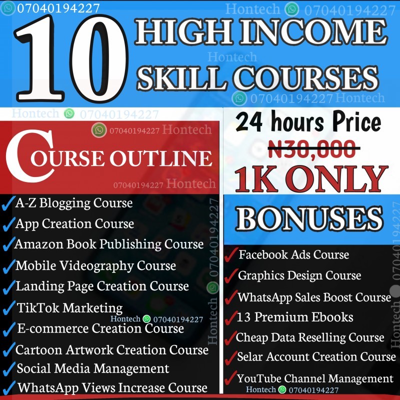 Buy High Income Skill Course copy by Odinaka David on Selar