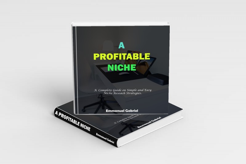 Buy A Profitable Niche by Okonji Gabriel on Selar