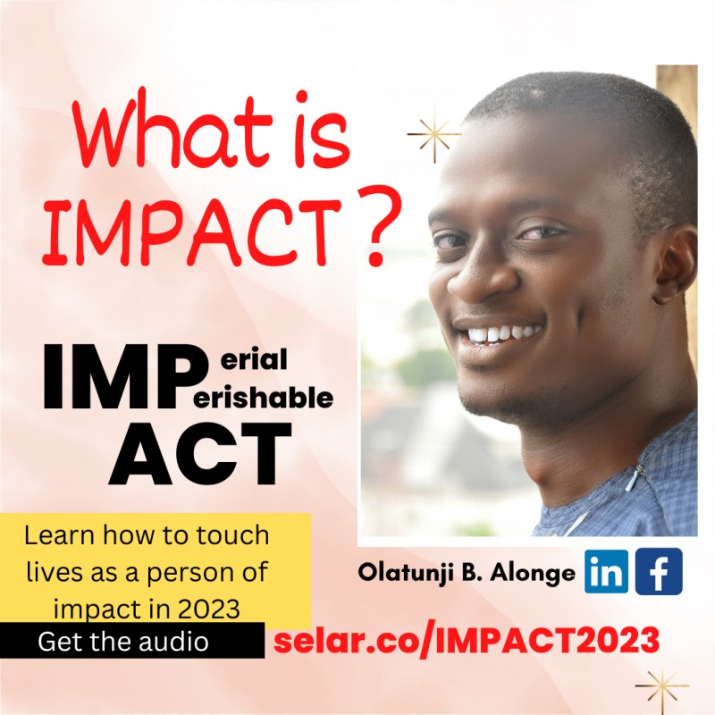 Buy IMPACT 2023 by Olatunji B. Alonge on Selar