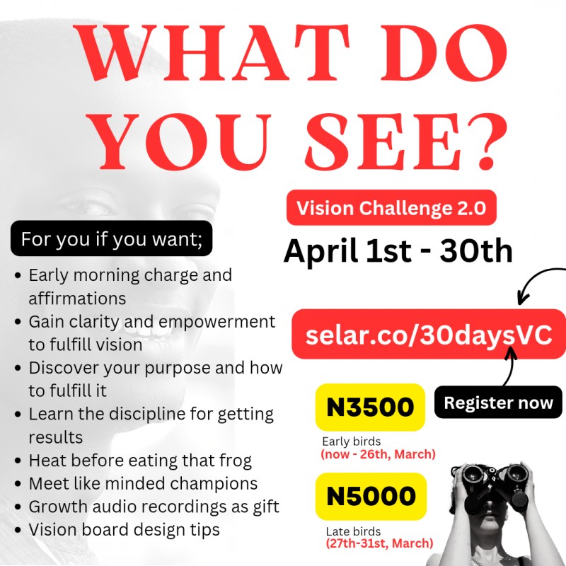 Buy Vision Challenge 2.0 by Olatunji B. Alonge on Selar