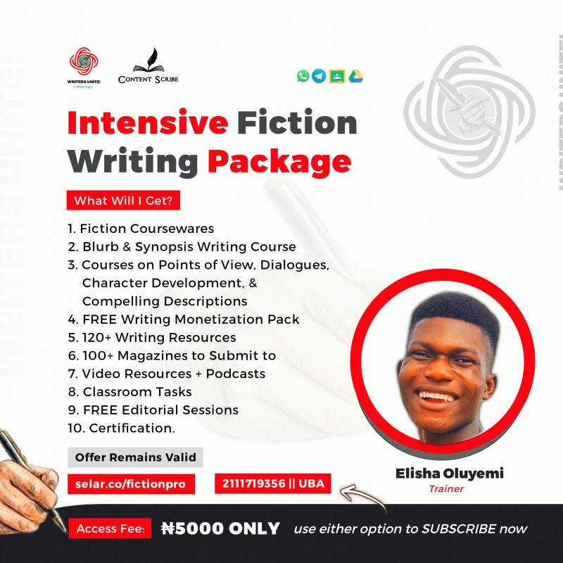 Buy Write Like a Pro (Intensive Fiction Course) by Elisha Oluyemi on Selar