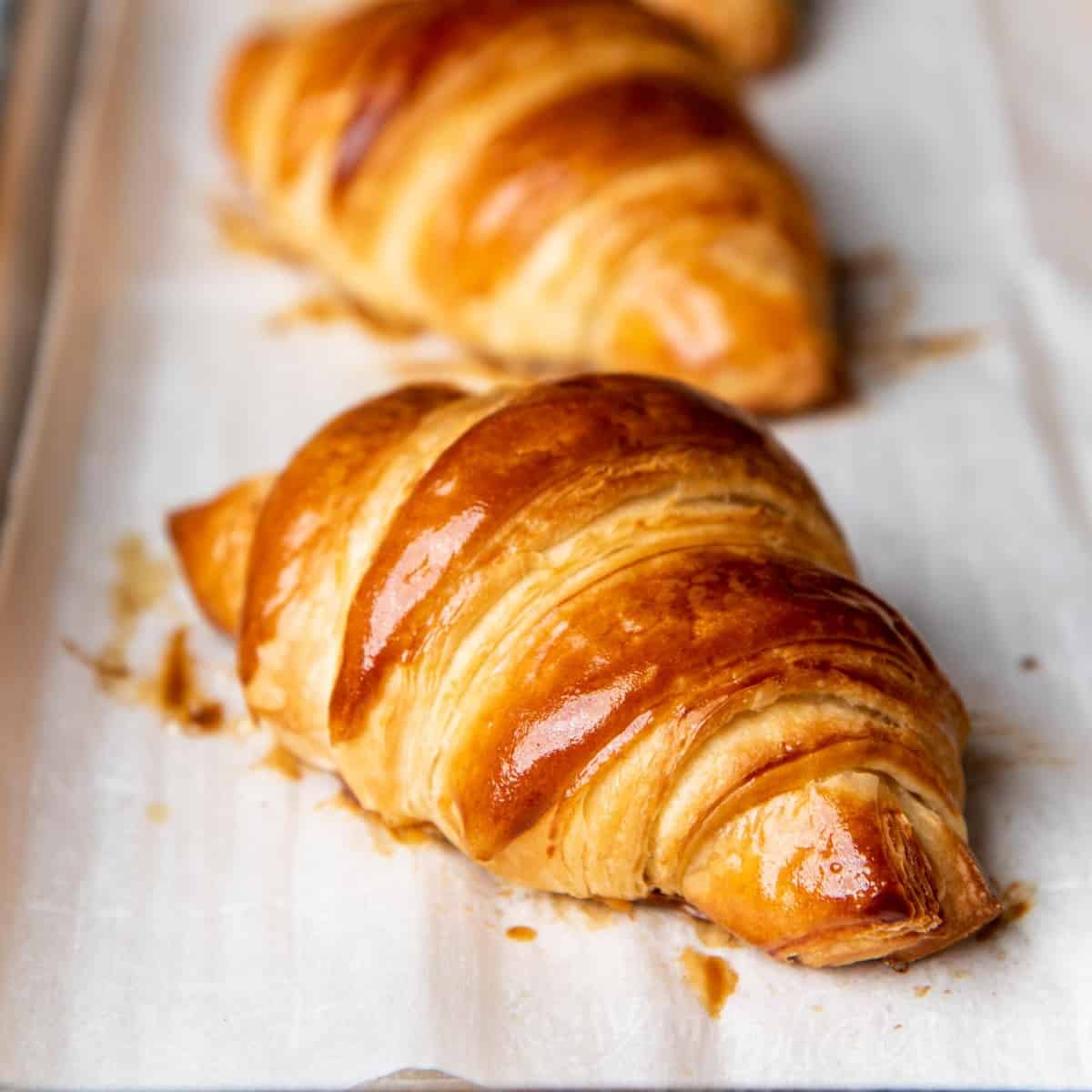 Buy Pastry Recipe - Learn how to make Croissants, Pizza and Bread by ...