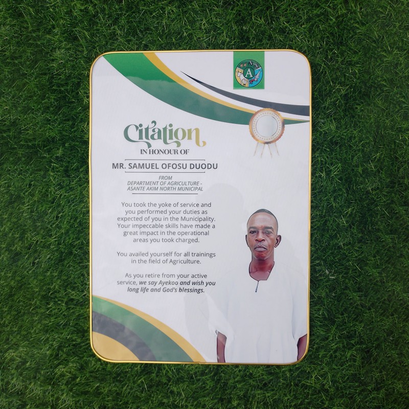 Buy Elegant Citation Template by Opoku Afriyie Solomon on Selar