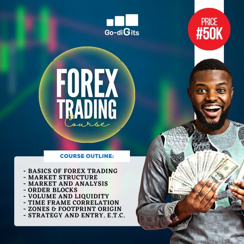 Buy Forex Masterclass by Olubori Paul on Selar
