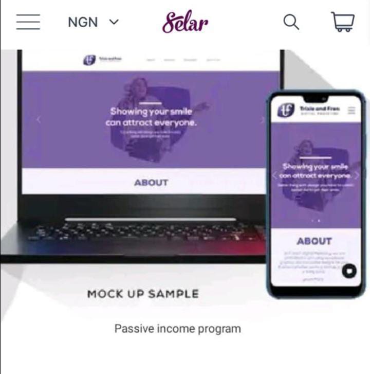 Buy Website design course by Peter Florence isioma on Selar